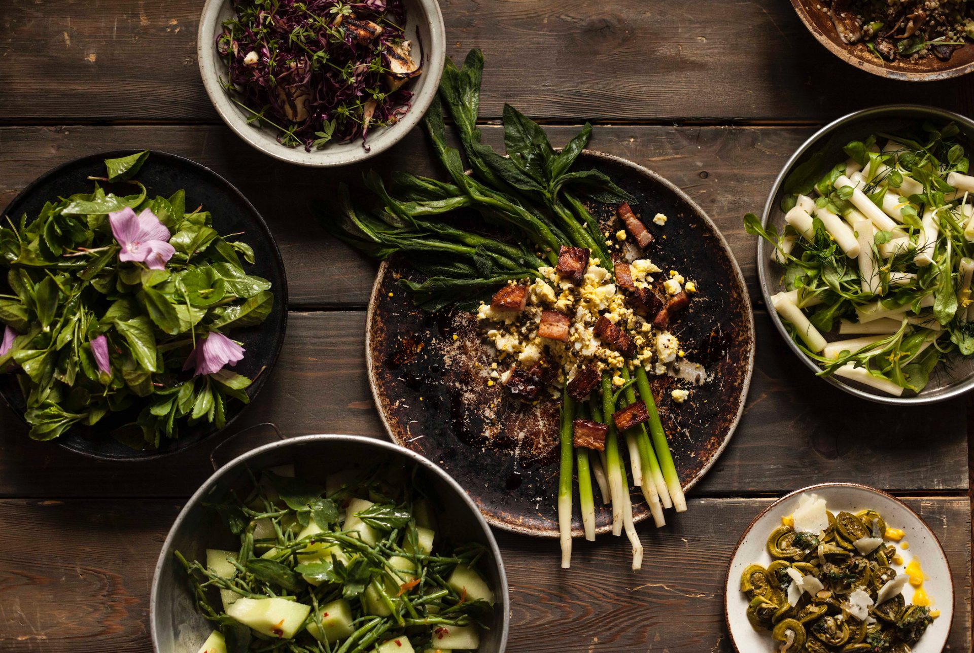 Wild products and harvesting in the forest - Gourmet sauvage