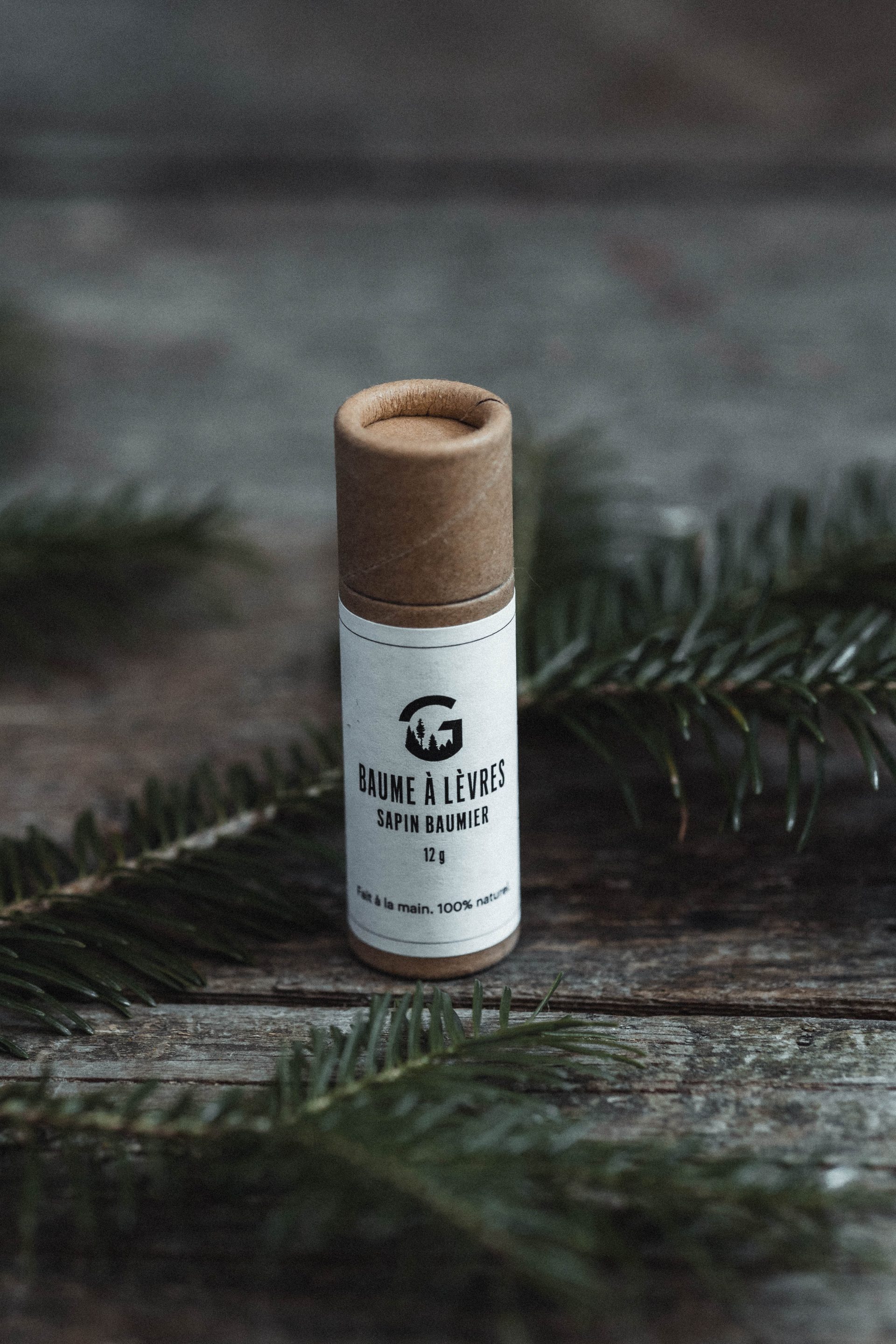 Moisturizing lip balm: balsam fir – Gourmet Sauvage