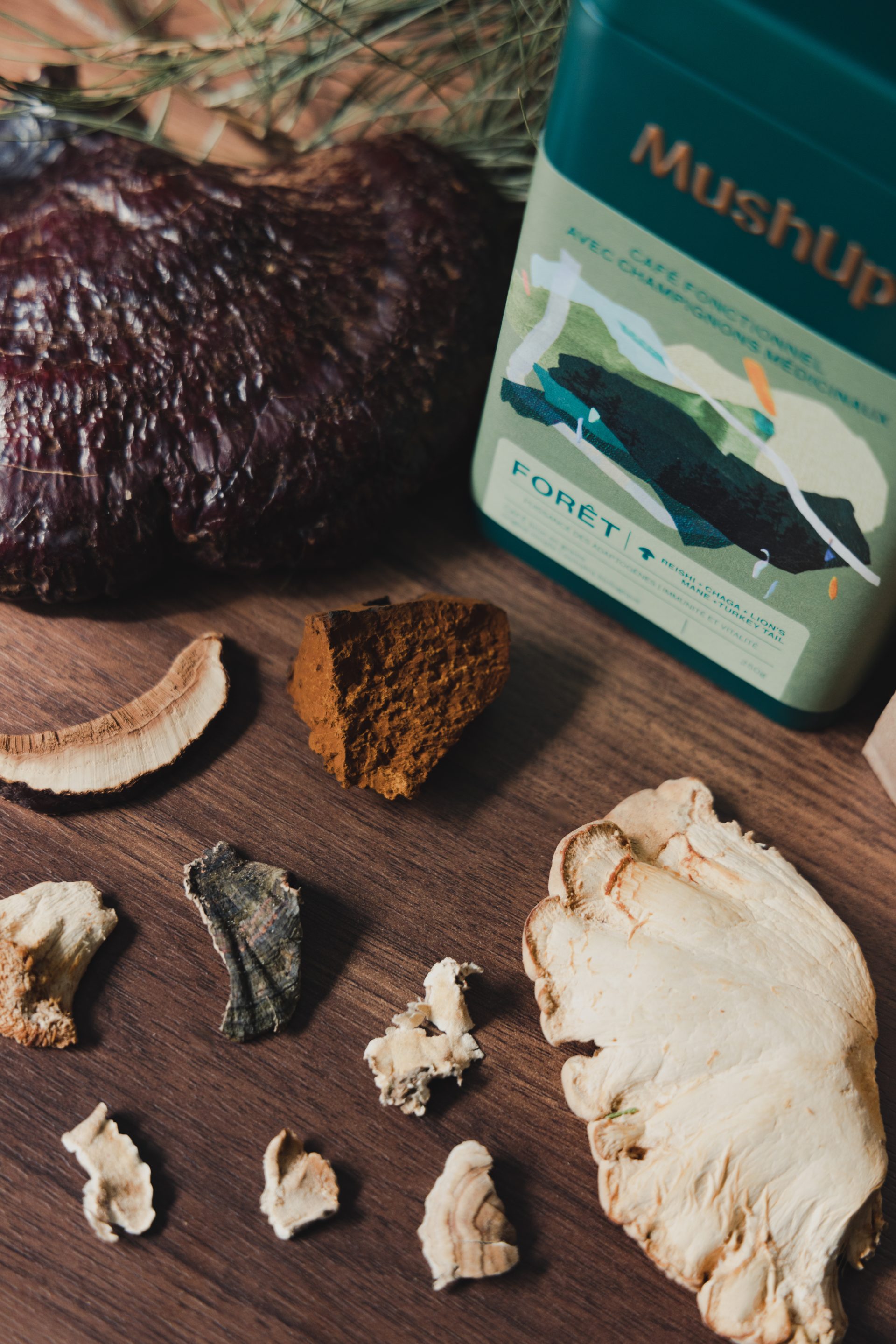 Café aux champignons - Café Fonctionnel Forêt | Gourmet Sauvage